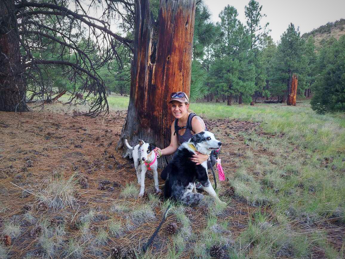 The Story of Ellie Roux – Poesie Sans, Souci